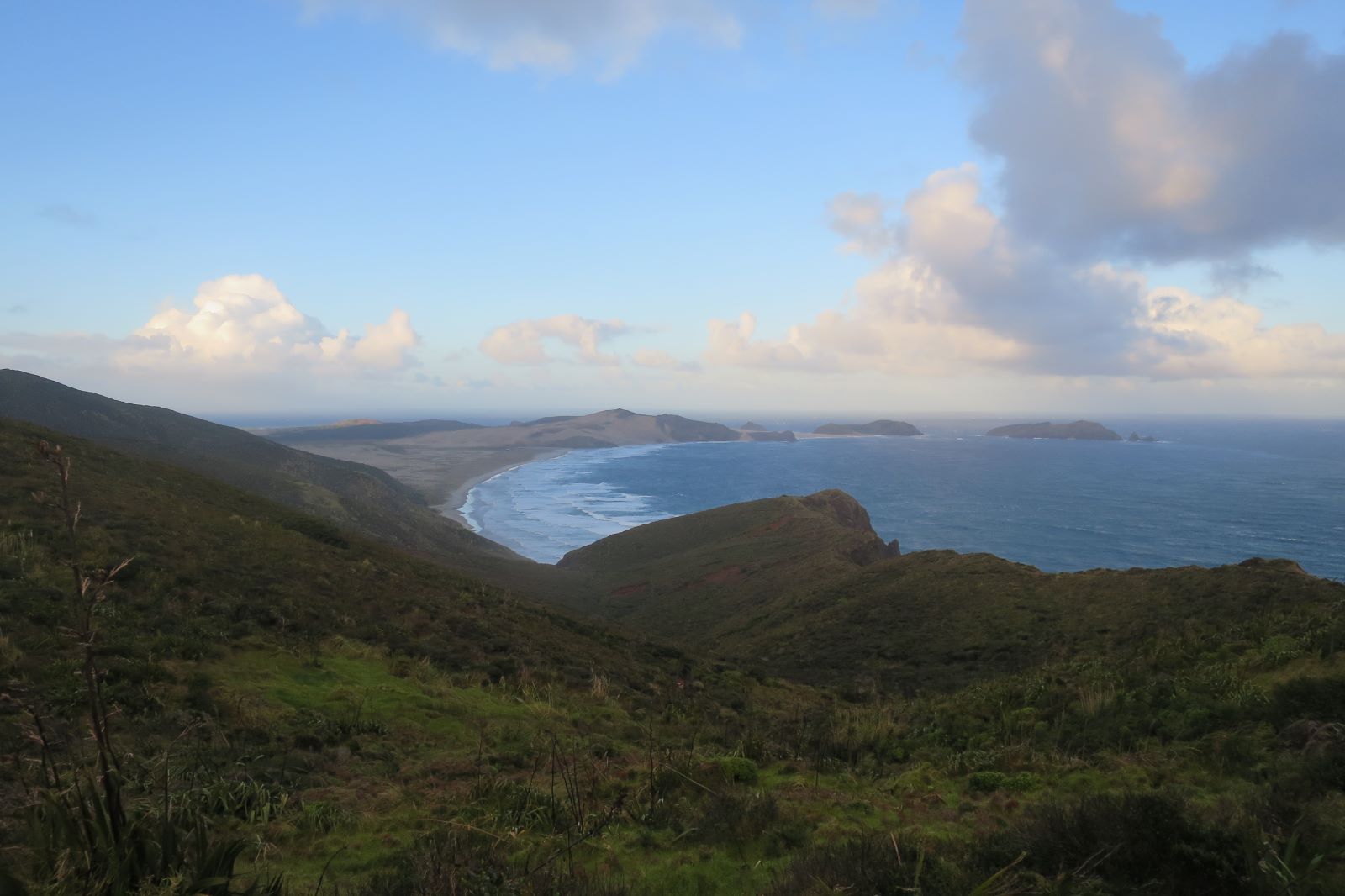 New Zealand's Te Paki Sand Dunes | A Straightforward Guide [2026]