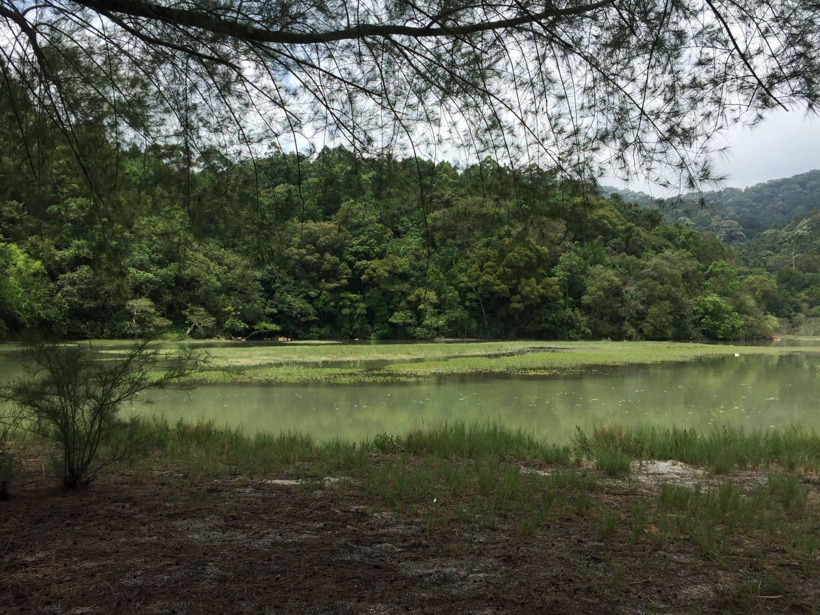 Visiting The Wonderful Penang Turtle Sanctuary in Penang, Malaysia