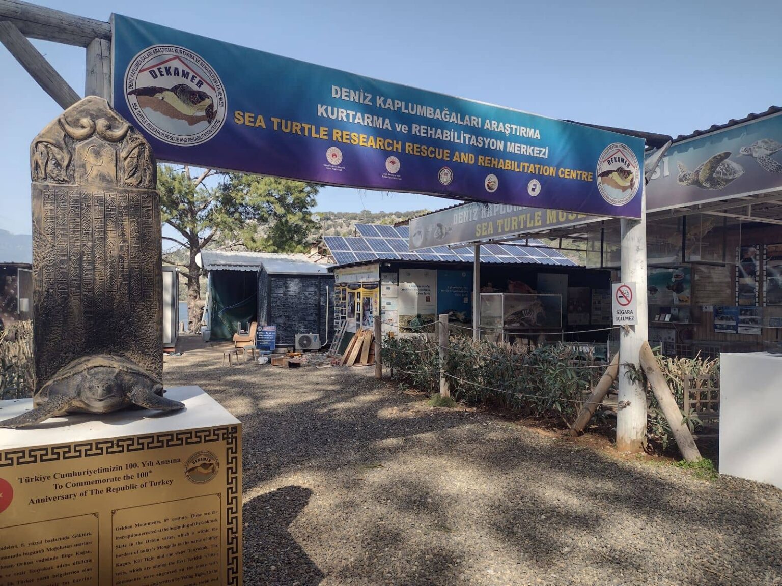 9 Wonderful Things To Do In Dalyan, Turkey: A Guide To The Riverside Town