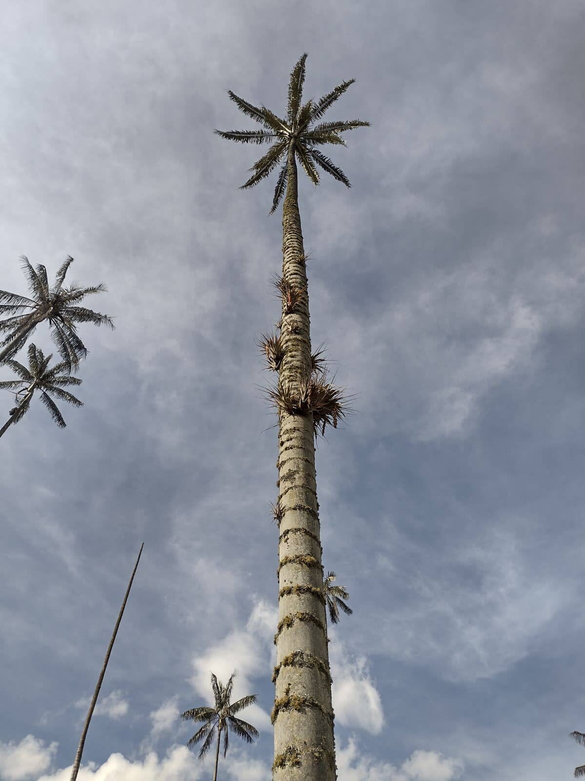 A Short Guide To Salento, Colombia | 9 Wonderful Things To Do